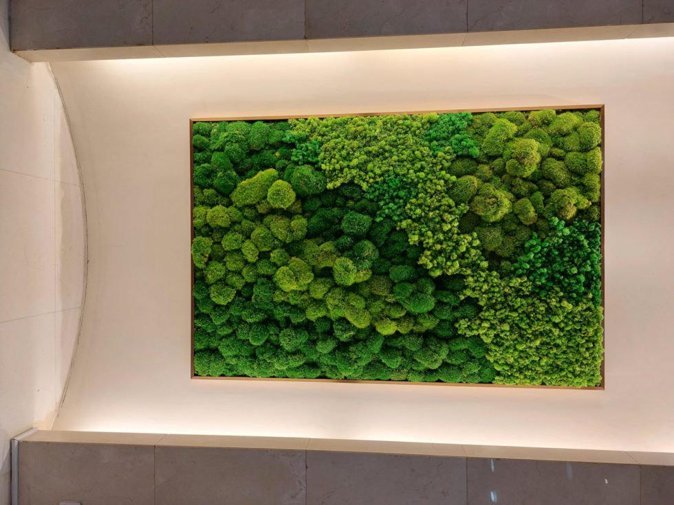 Moss Wall Commercial Building - Fink Services Hong Kong